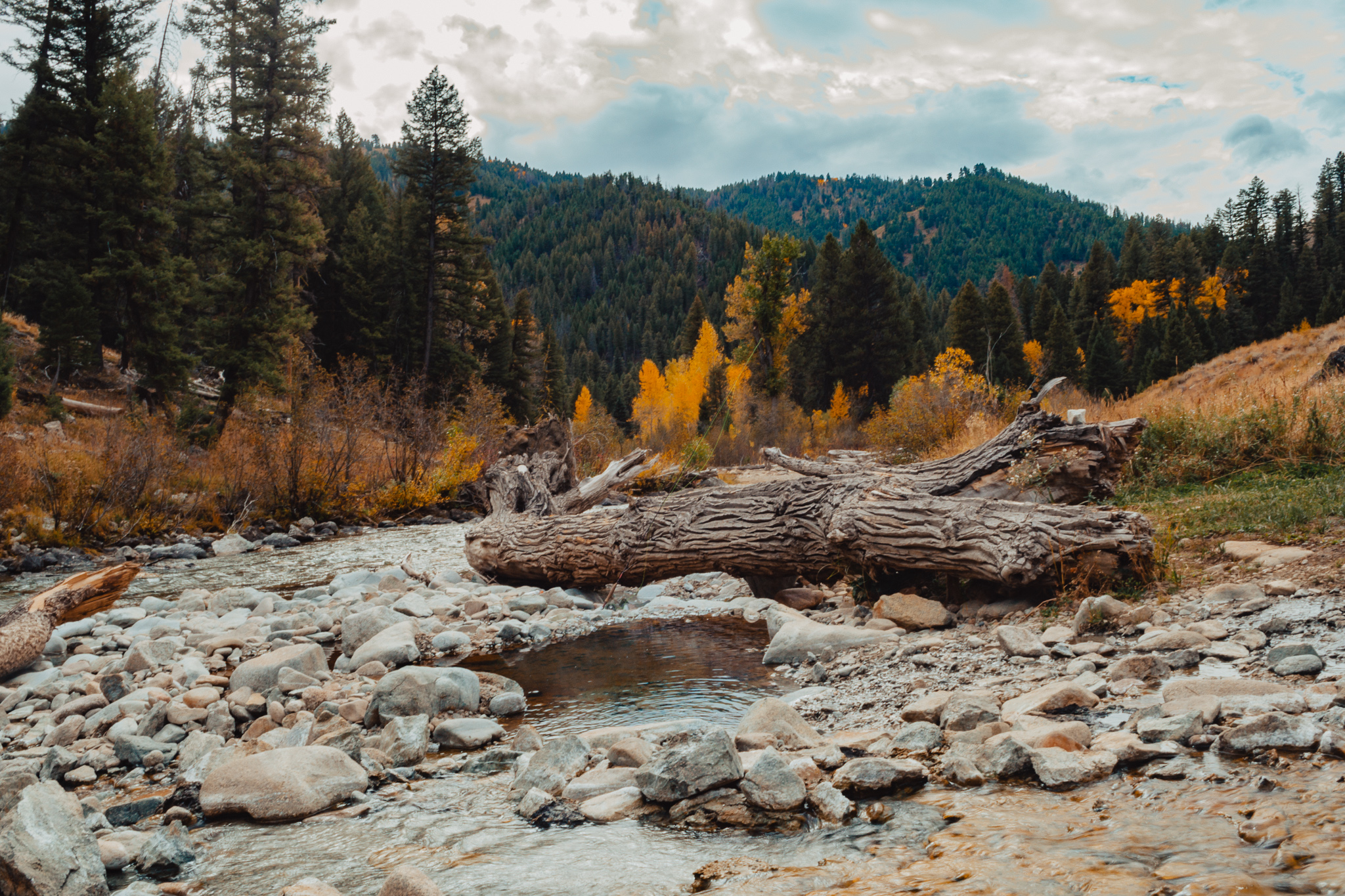 Skillern Hot Springs – Earth to Sarah