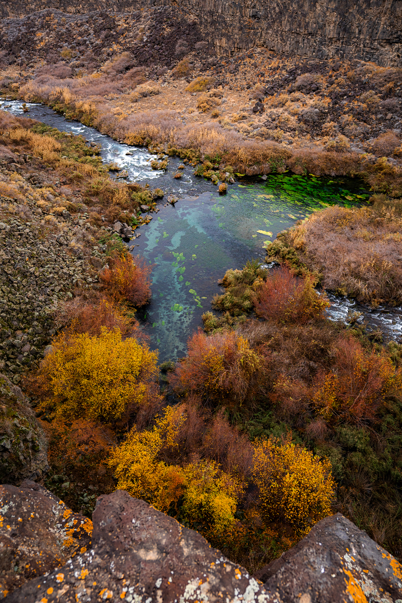 Hiking to Box Canyon State Park in Idaho – Earth to Sarah