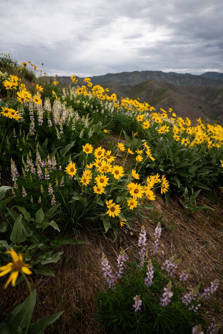 Idaho Bucket-List: Hike the 4 Grand Slams in Boise – Earth to Sarah